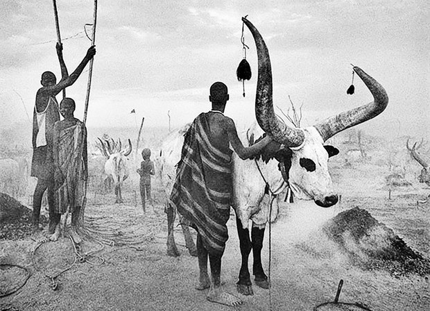 Sebastião Salgado: la fotografía como forma de vida — La Jornada - Semanal